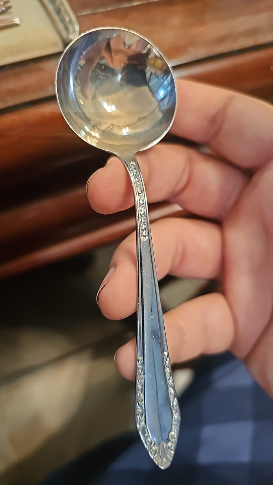 Concha alpaca wolff | Pescadores de Relíquias