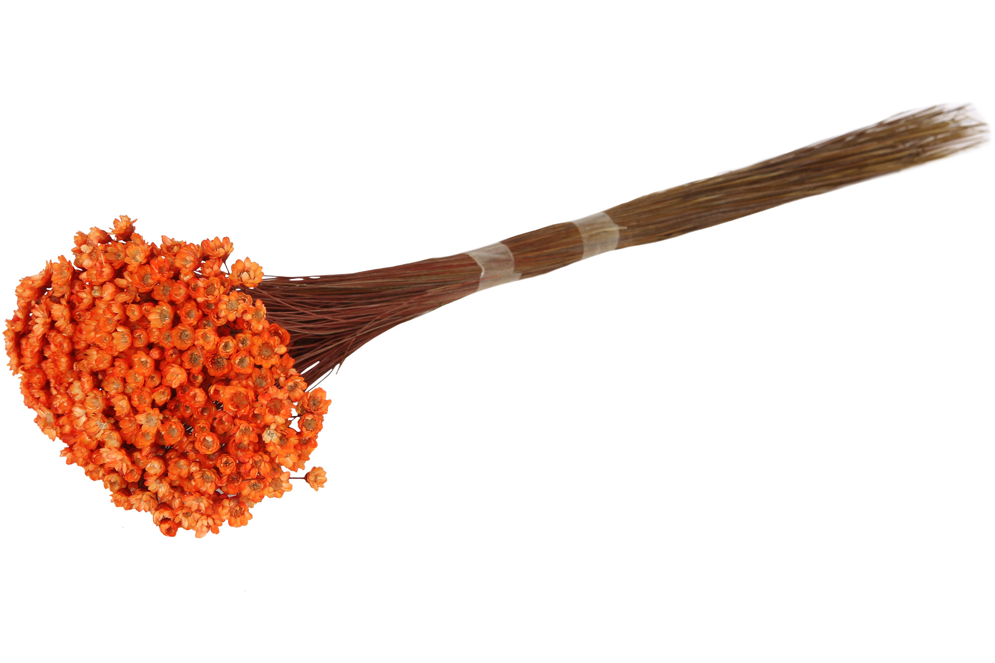 BOUQUET FLOR SEMPRE-VIVA DESIDRATADA - LARANJA - 1UN